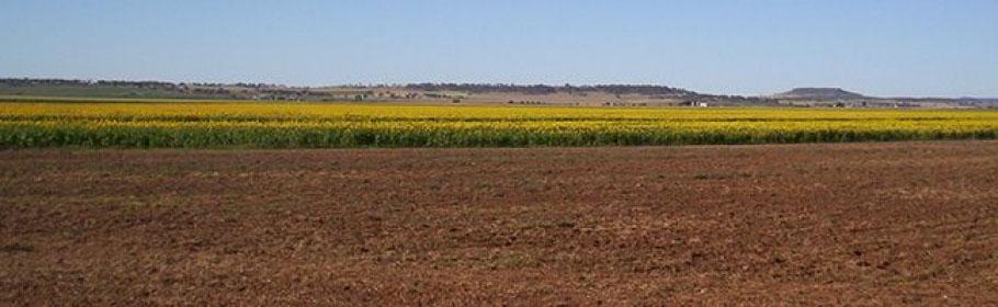 Land Cover And Land Use Anzlic